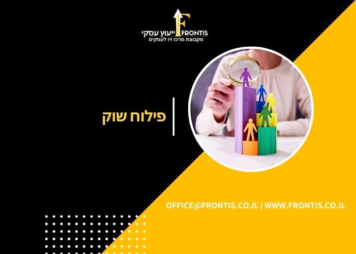 ייעוץ ארגוני - מתן כלים ותהליכים מתקדמים ופרקטיים - FRONTIS